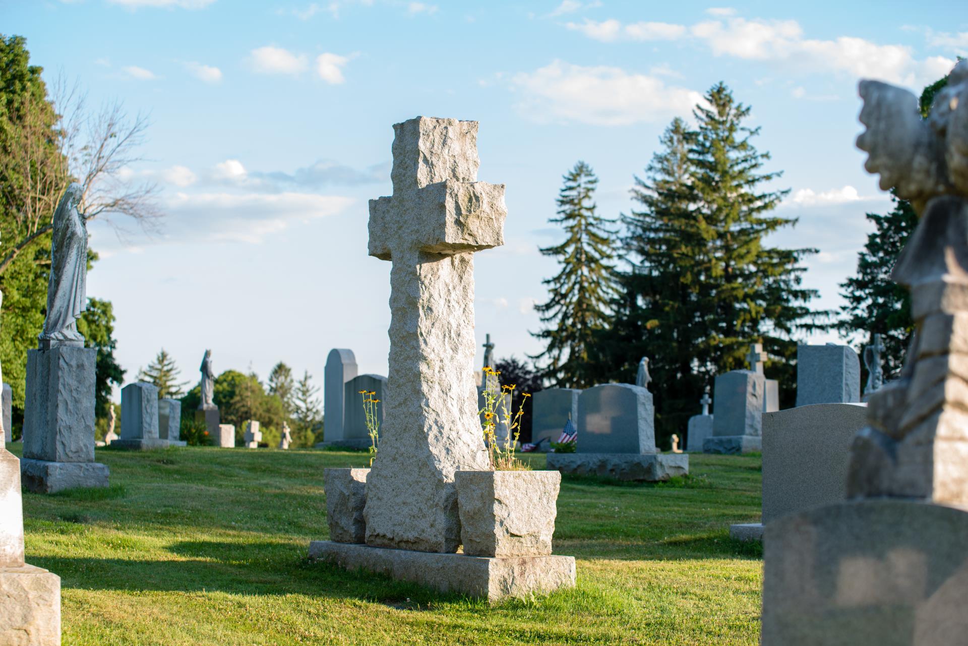 Mount Saint Peter Cemetery - Catholic Cemeteries Association of the ...
